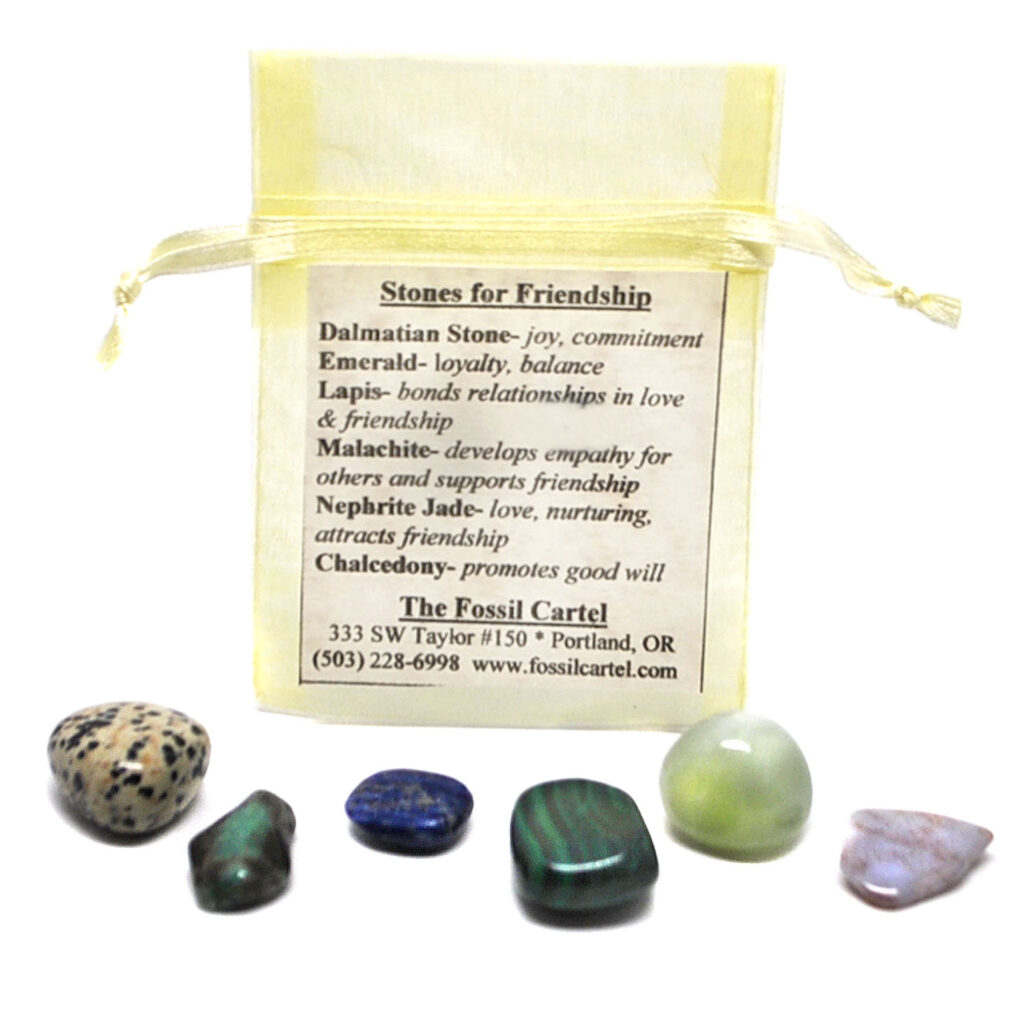 Stones for Friendship - The Fossil Cartel