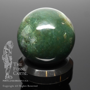 Round Dimple Block Acrylic Display Stands - The Fossil Cartel