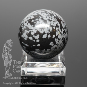 Square Dimple Block Acrylic Display Stands - The Fossil Cartel