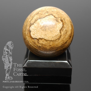 Square Dimple Block Acrylic Display Stands - The Fossil Cartel