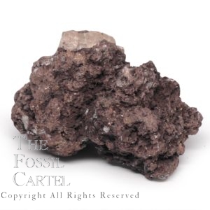 Oregon Sunstone in Matrix - The Fossil Cartel