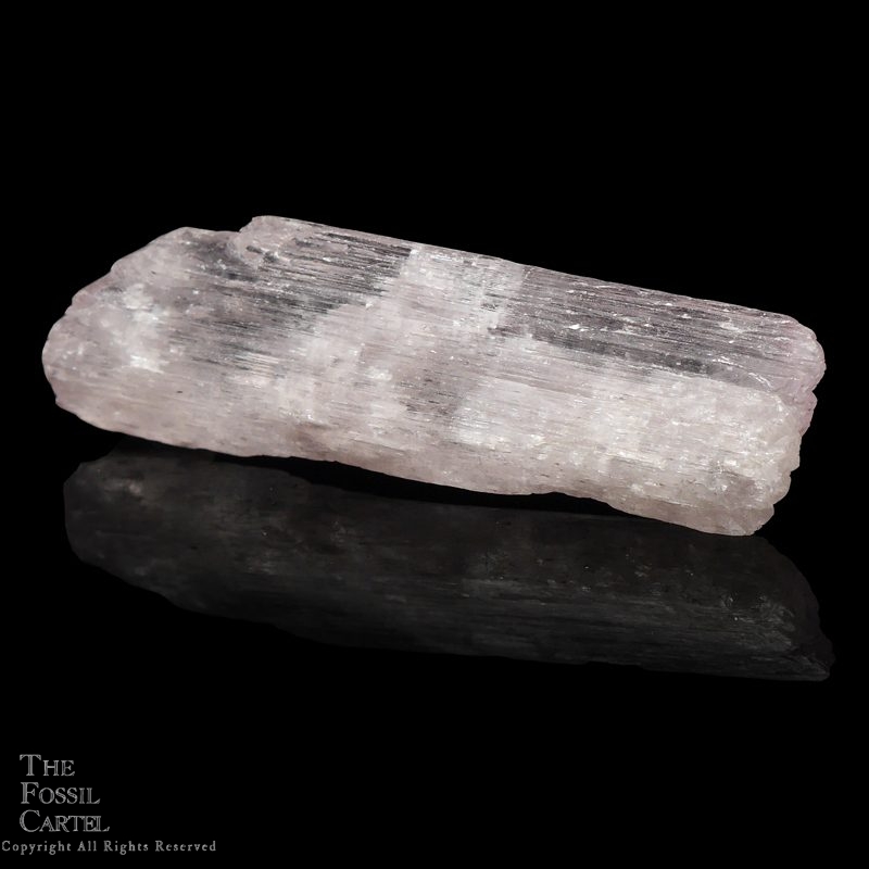 Kunzite Crystal - The Fossil Cartel