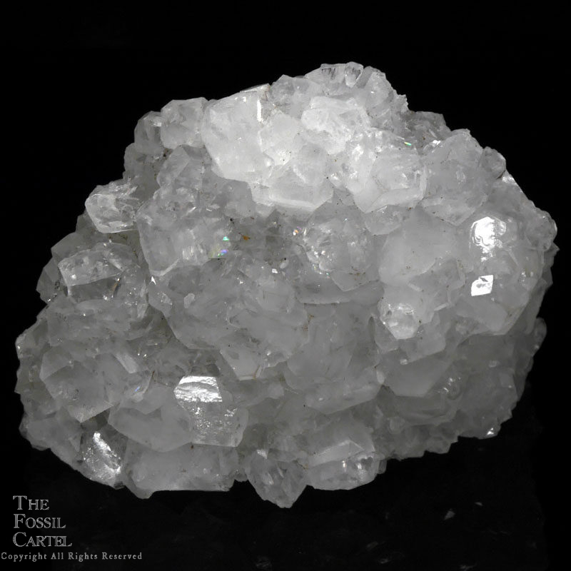 Apophyllite Crystal Cluster - The Fossil Cartel