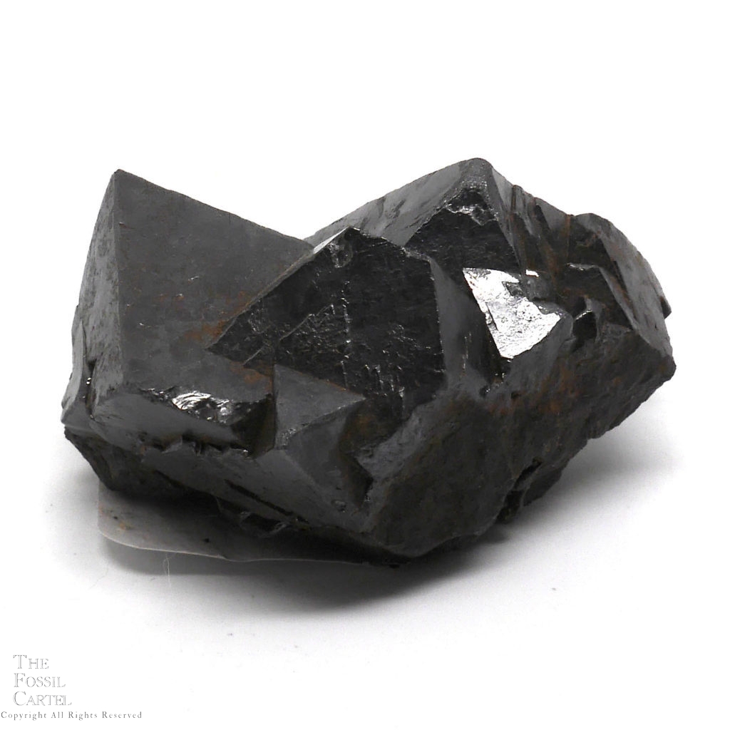 Magnetite Crystal Cluster - The Fossil Cartel