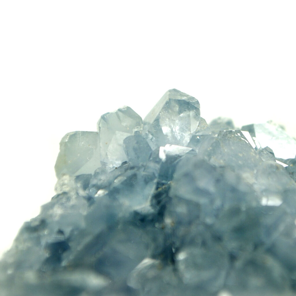 Celestite Crystal Cluster - The Fossil Cartel