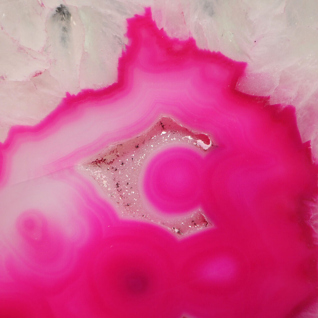 Large Pink Agate Slice - The Fossil Cartel