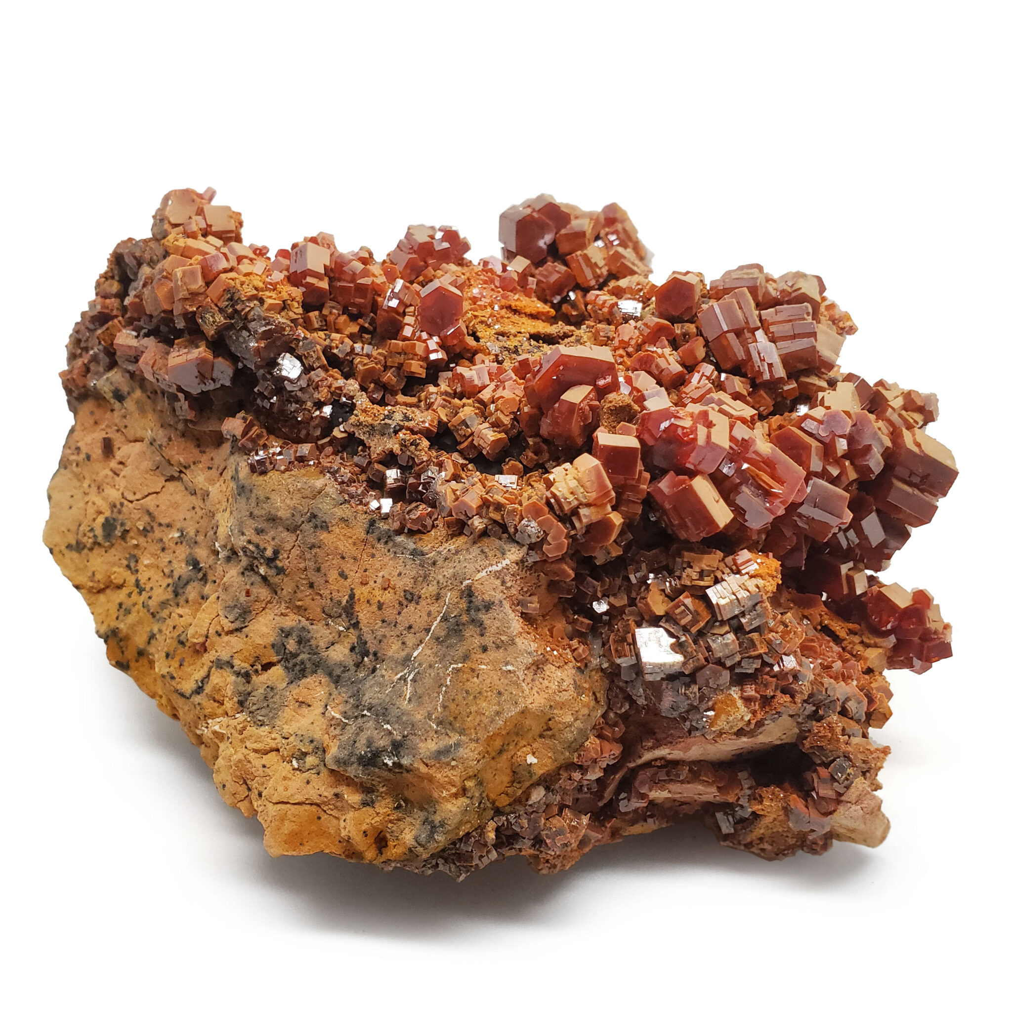 The Fossil Cartel - Fine Jewelry, Fossils, Crystals, and More