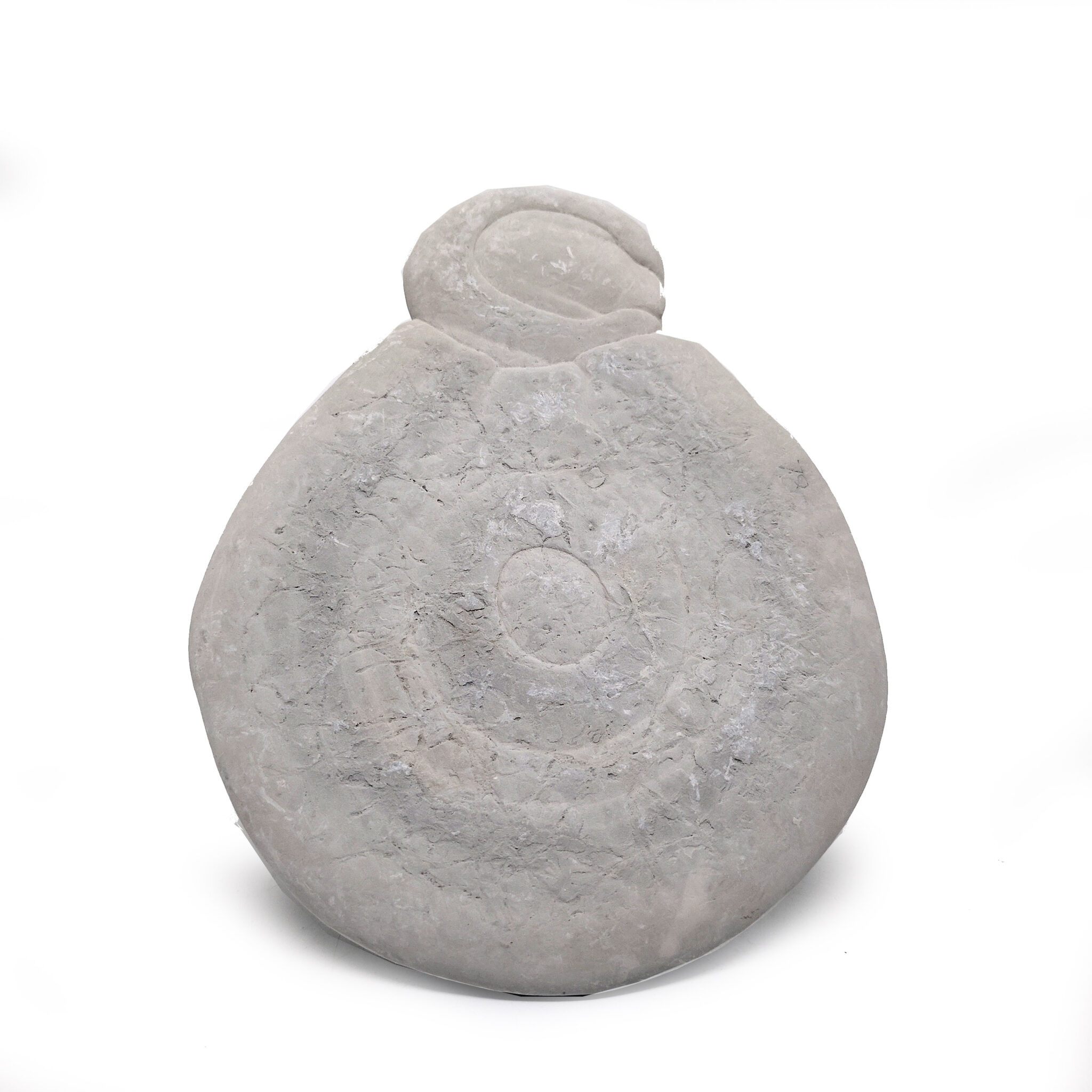 Fairy Stone, XL - The Fossil Cartel