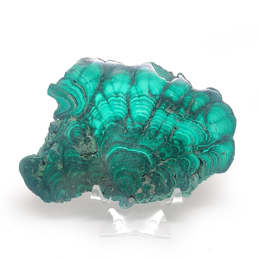 Malachite Slab - The Fossil Cartel