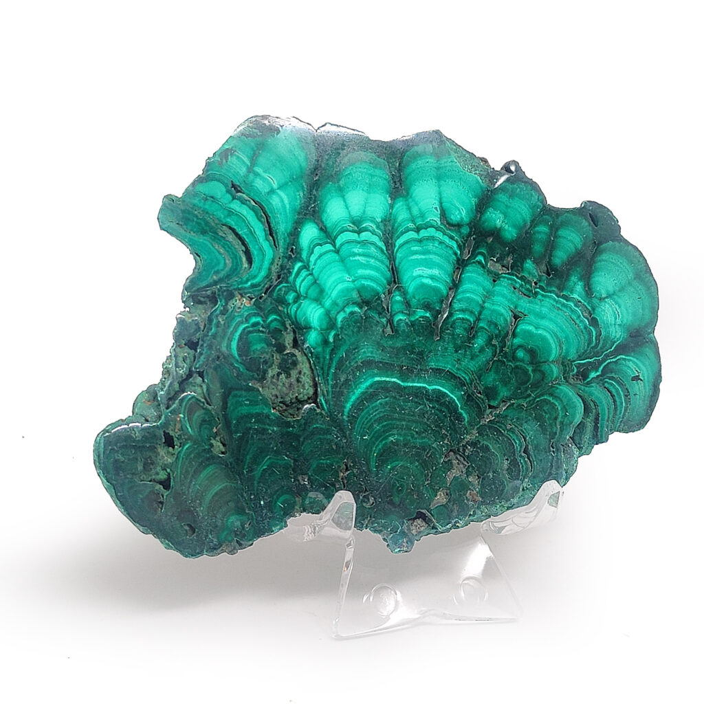 Malachite Slab - The Fossil Cartel