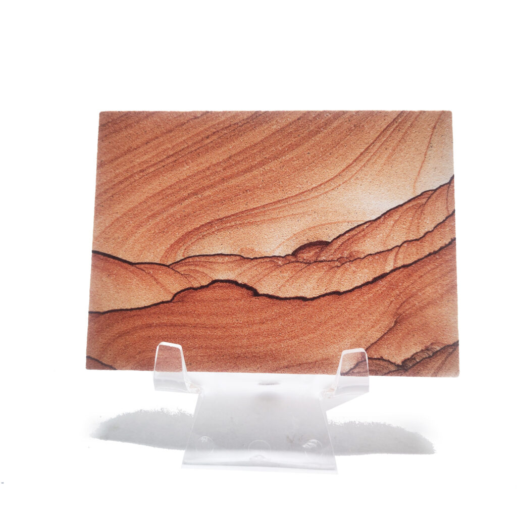 Wonderstone Slab - The Fossil Cartel